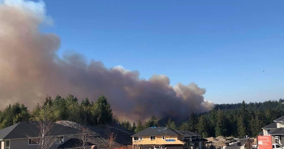 If told to flee your house, what would you grab? | The Seattle Times