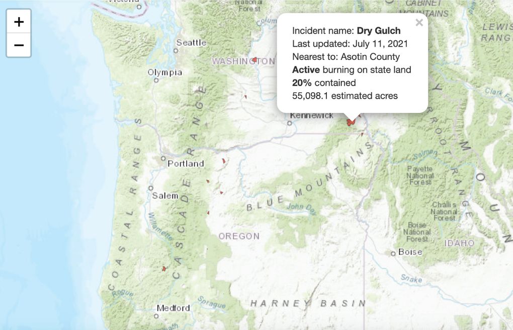 How bad is Oregon’s Bootleg fire? It’s generating its own weather | The ...