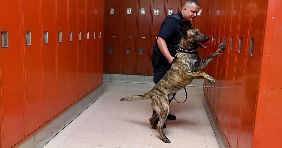 Furry four-legged officers trained to sniff out ‘prison moonshine ...