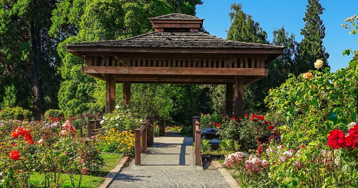 Looking for date ideas in the South Sound area? Take a trip out to ...