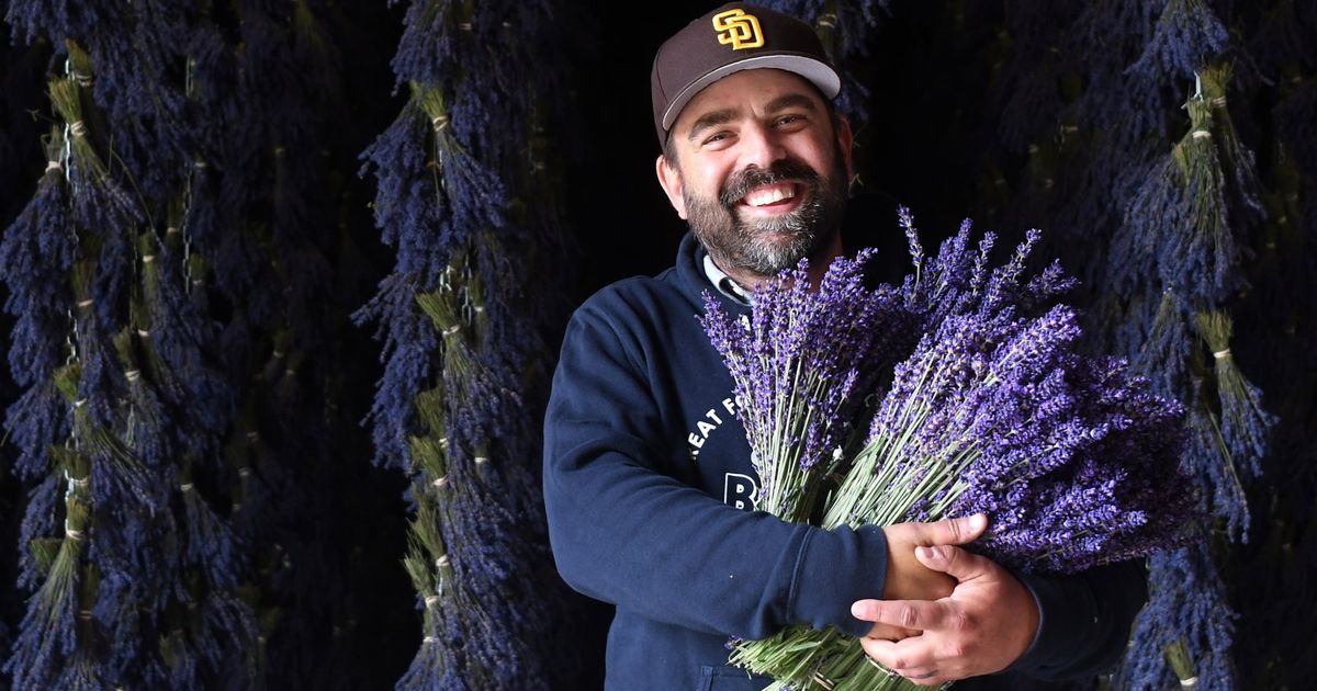 Why now is the perfect time to visit Sequim’s fragrant lavender fields ...