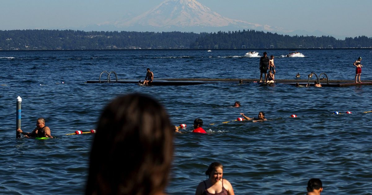 14 things to do around the Seattle area this weekend | The Seattle Times