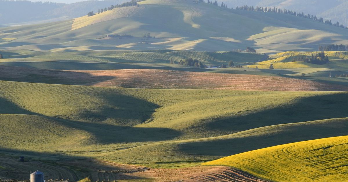 6 reasons to go on a family road trip to Pullman (in addition to ...