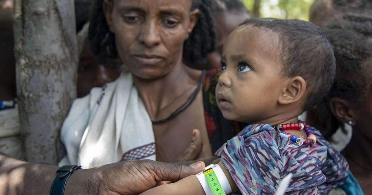 No work, no food: Pandemic deepens global hunger | The Seattle Times