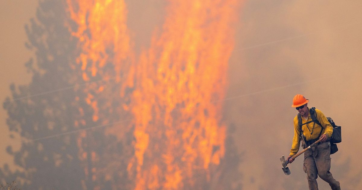 Global sizzling: July was hottest month on record, NOAA says | The ...