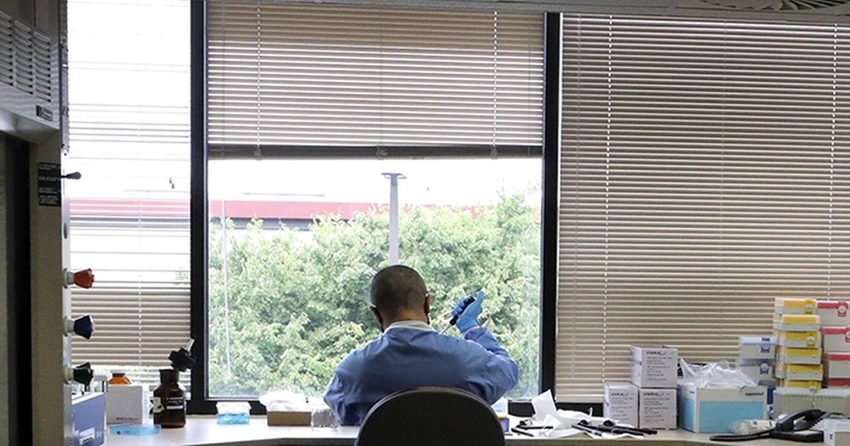 More meth, cocaine contamination found at Washington state toxicology ...