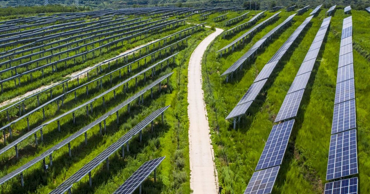 U.S. begins detaining solar panel imports over concerns about forced ...