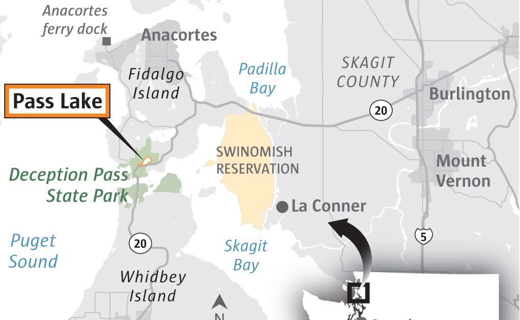 ‘Really, really bad’ toxic algae bloom closes lake at Deception Pass ...