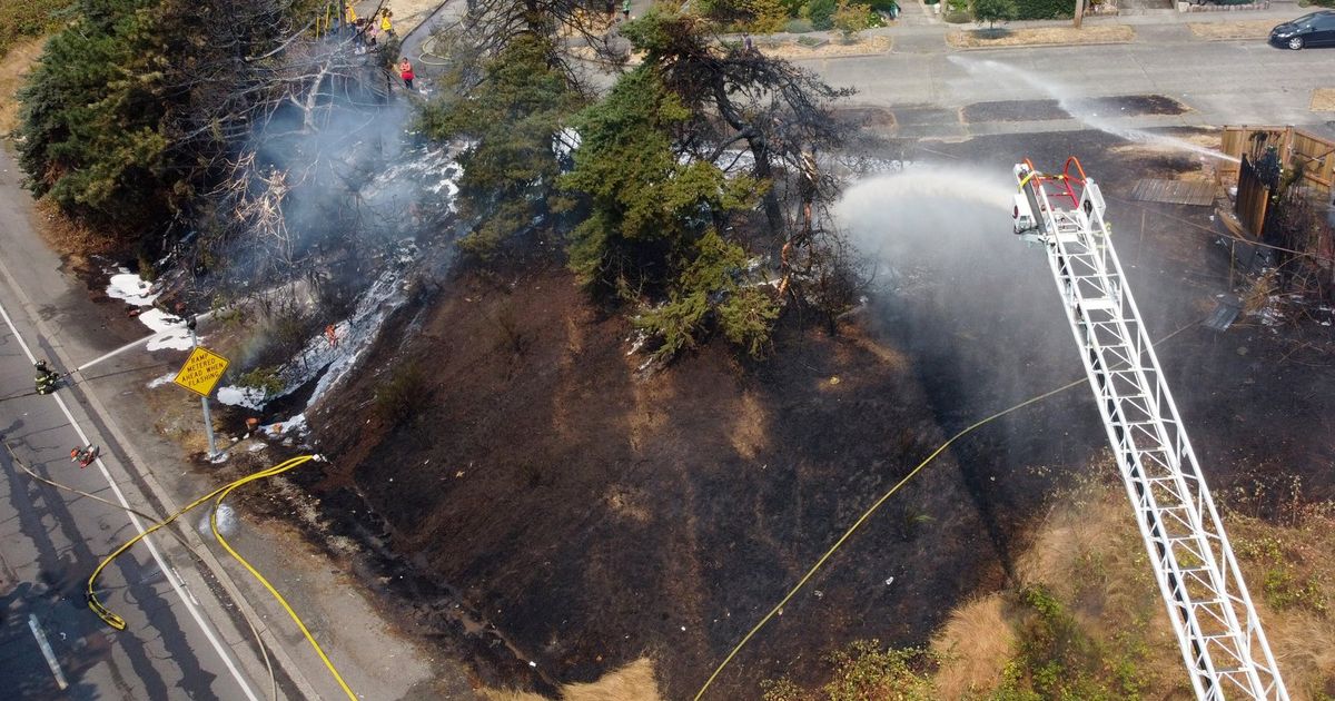 Brush fire along I-5 in North Seattle impacts encampment | The Seattle ...