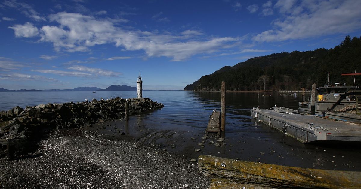 14 things to do in the Seattle area this weekend | The Seattle Times