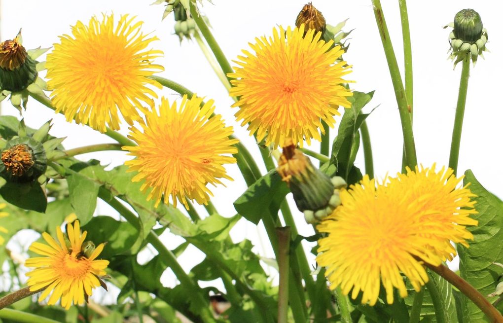 Monika Spykerman | The Seattle Times