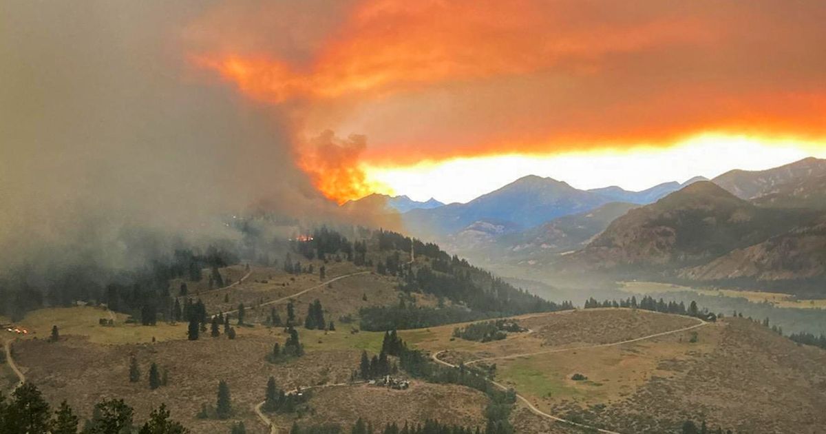 Biochar ambassadors hope to save Washington’s fire-ravaged Methow | The ...