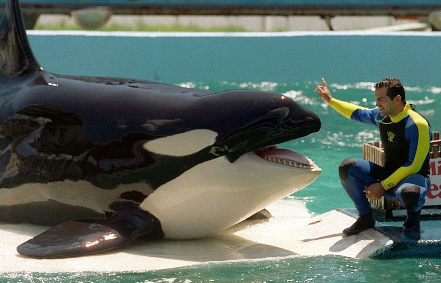 Miami Seaquarium gets eviction notice after death of Lolita the orca ...
