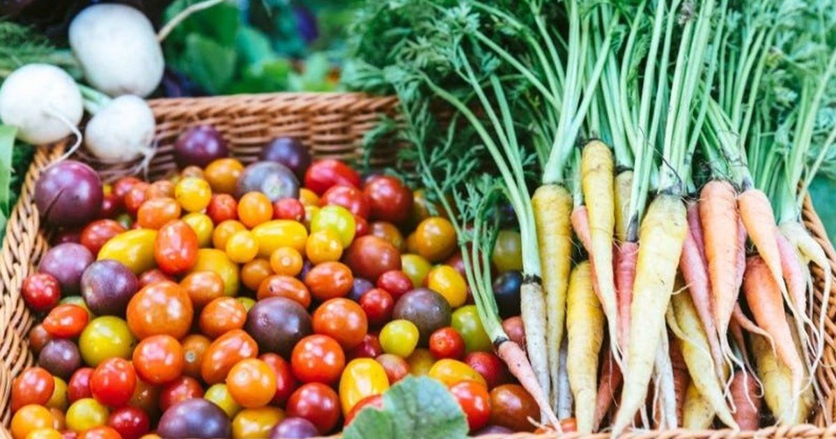 What new research says about adding healthy years to your life | The ...
