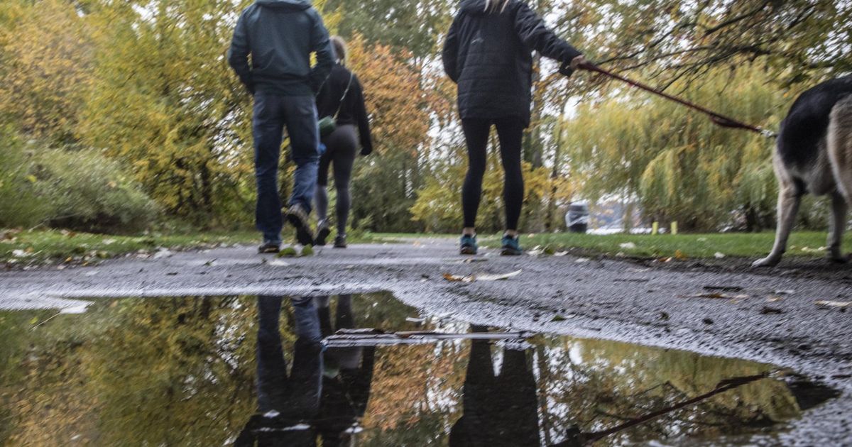 Severity of ‘bomb cyclone’ uncertain, but Seattle area should prepare ...