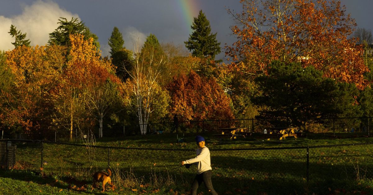 Vote for your favorite reader-submitted Seattle-area weather haiku ...