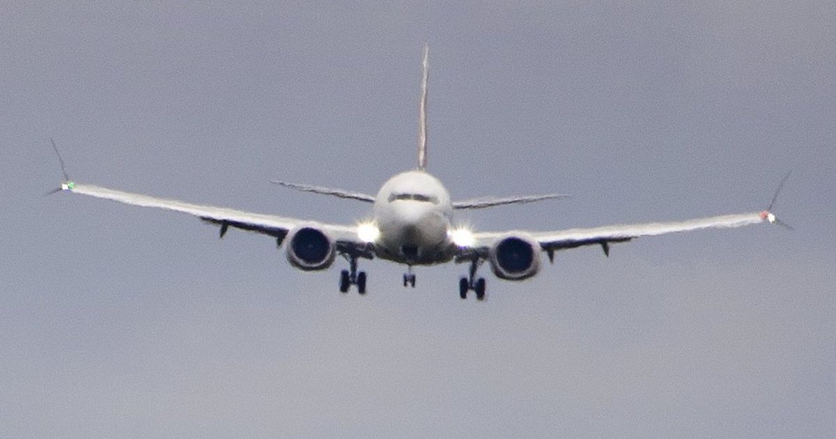 Google says flight search tool can help you fly ‘greener’ | The Seattle ...