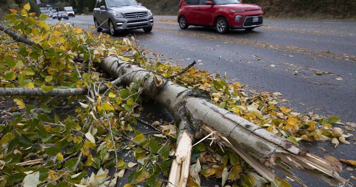 Storm rips through Western Washington, killing two and leaving more ...