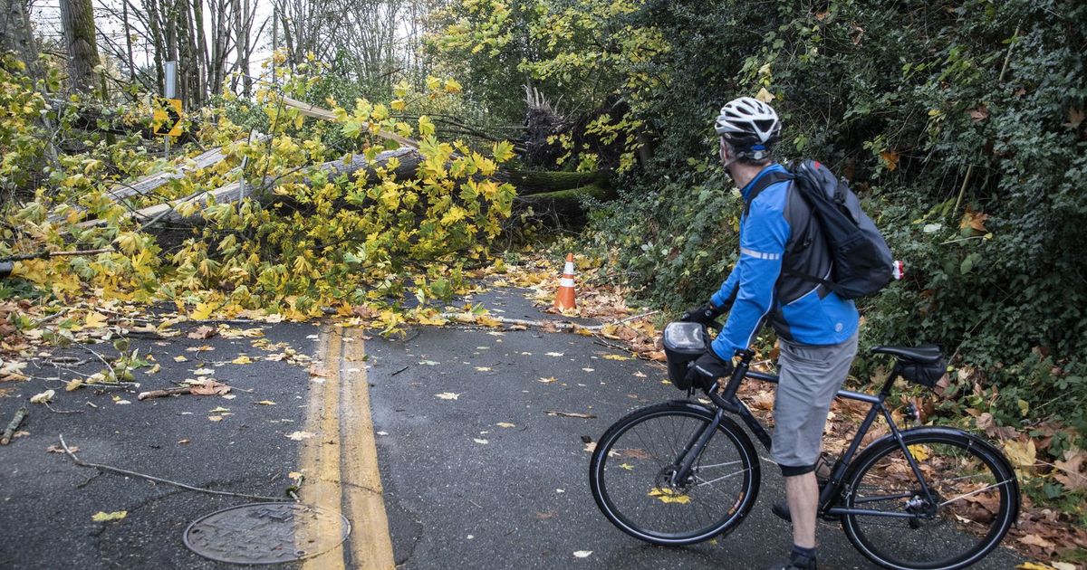 Weather updates: Heavy rain, strong winds, power outages in Seattle ...