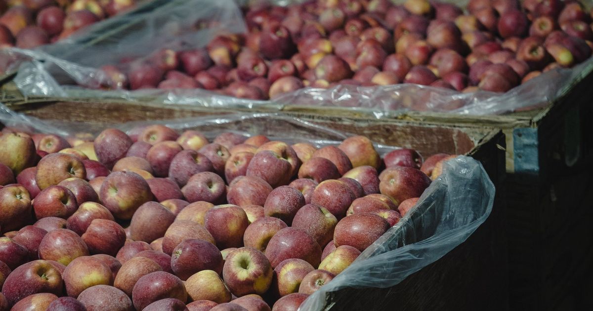 Biotech company aiming to fight food spoilage starts with saving ...