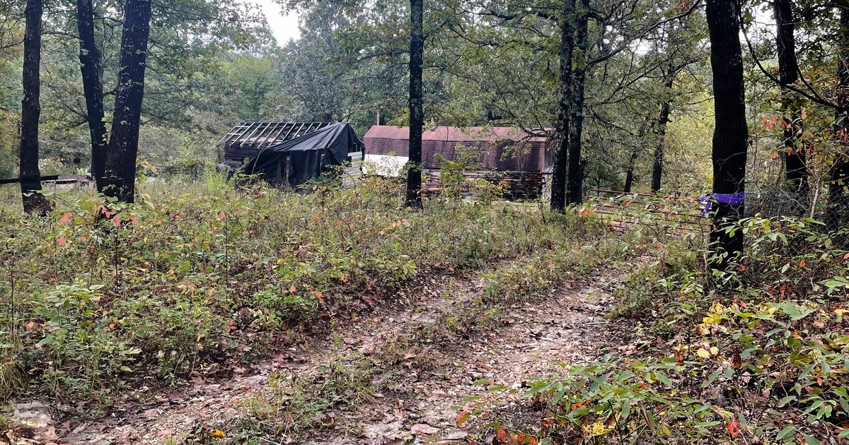 Authorities Missing Missouri Woman Was Killed Dismembered The