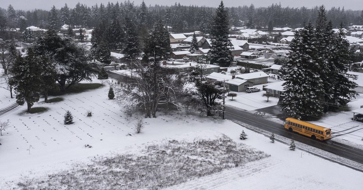 Western Washington snow to turn to rain, but another chance at snow is ...