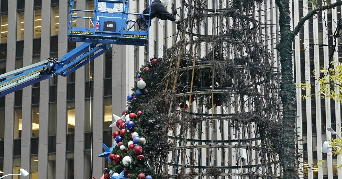 Fox News Christmas tree was set on fire in New York. A man is now in ...
