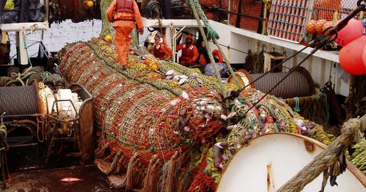 Fishery council approves new restrictions on Bering Sea trawl fleet’s ... Fishery council approves new restrictions on Bering Sea trawl fleet’s ...