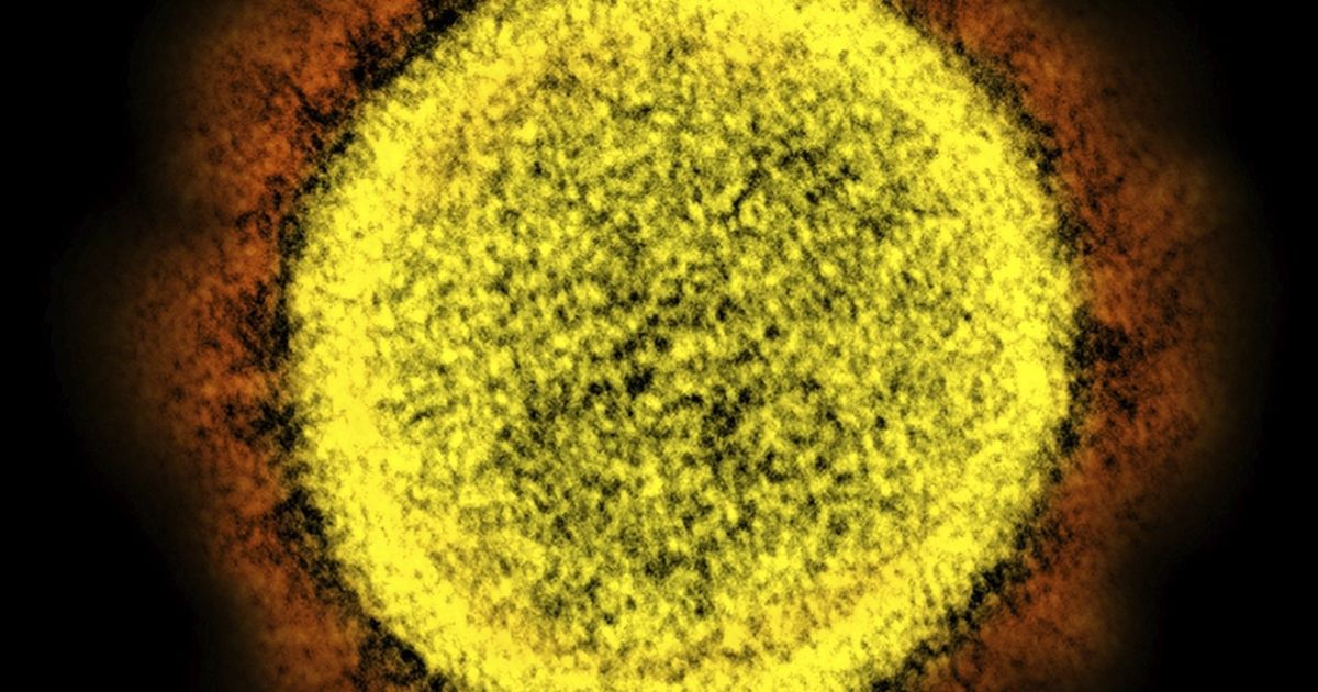 As ‘stealth omicron’ advances, scientists are learning more | The ...