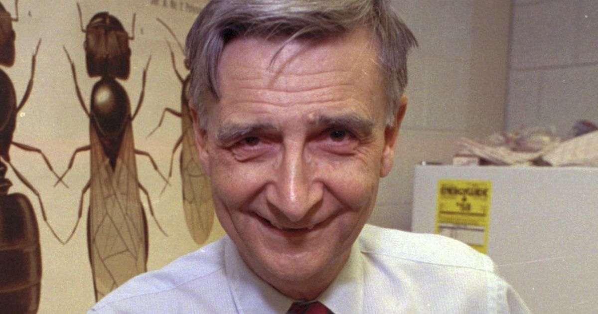Edward O. Wilson, biologist known as ‘ant man,’ dead at 92 | The ...