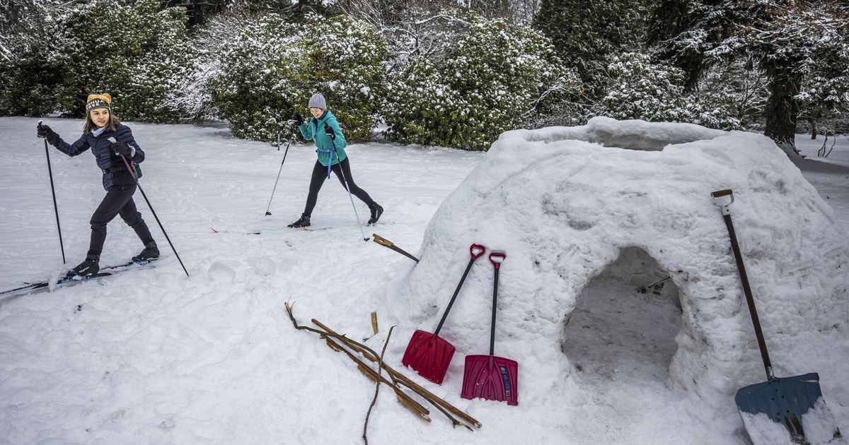 Photos: Friends build an igloo at Seattle’s Volunteer Park | The ...