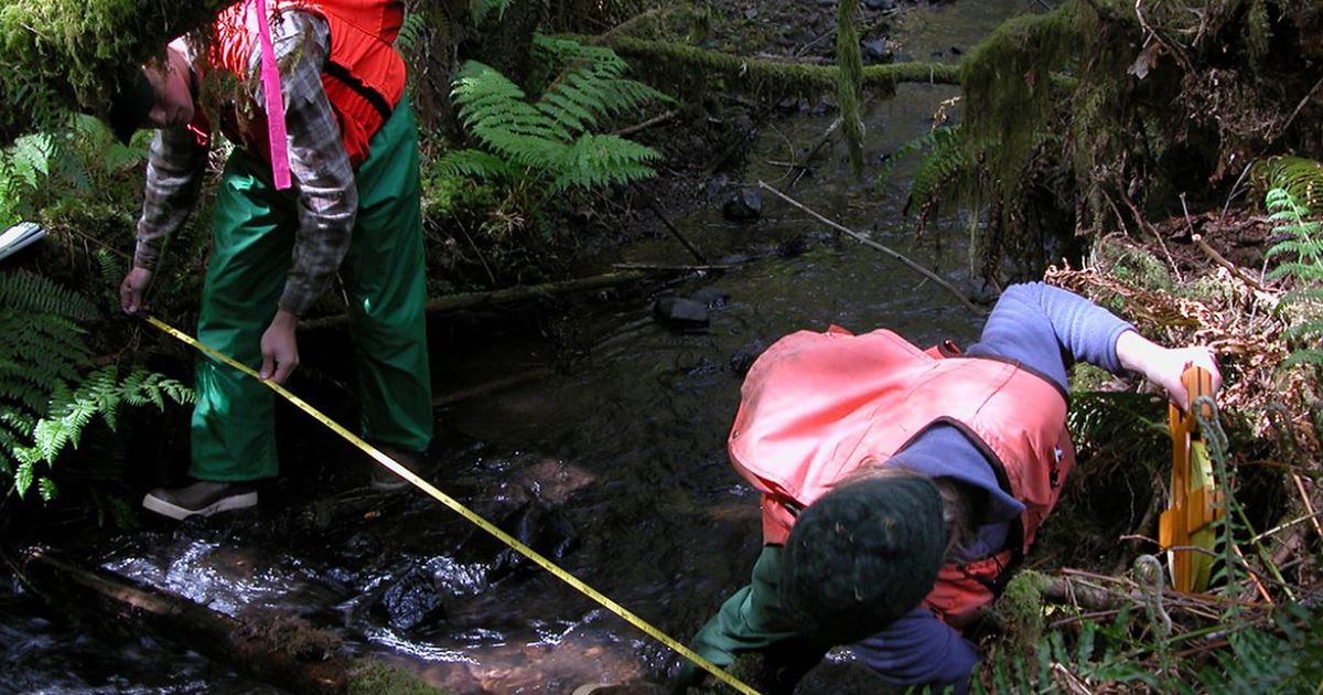 Salmon recovery is a shared responsibility in the Northwest | The ...