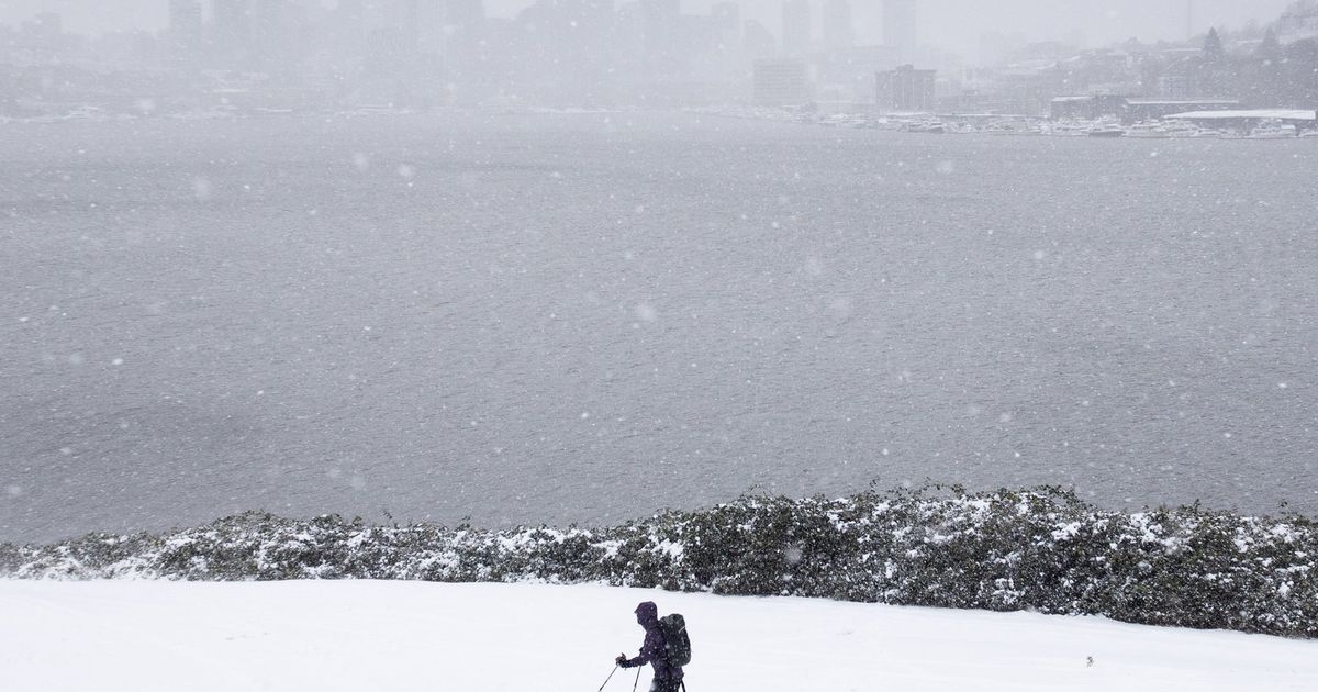 Scenes from a snowy Seattle on Sunday as the region braces for a cold ...