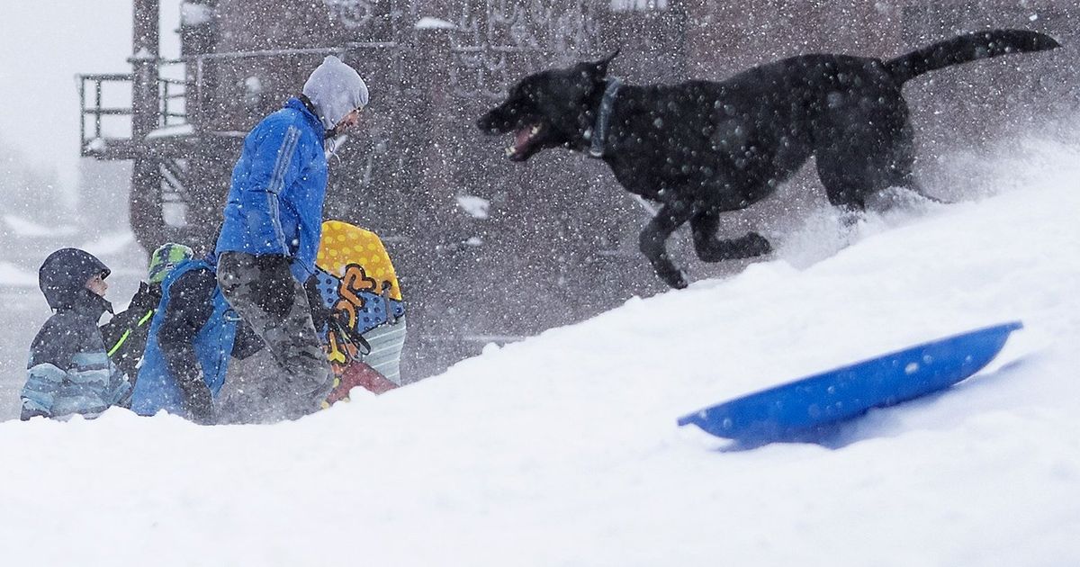 Photos: Winter descends upon Seattle area | The Seattle Times