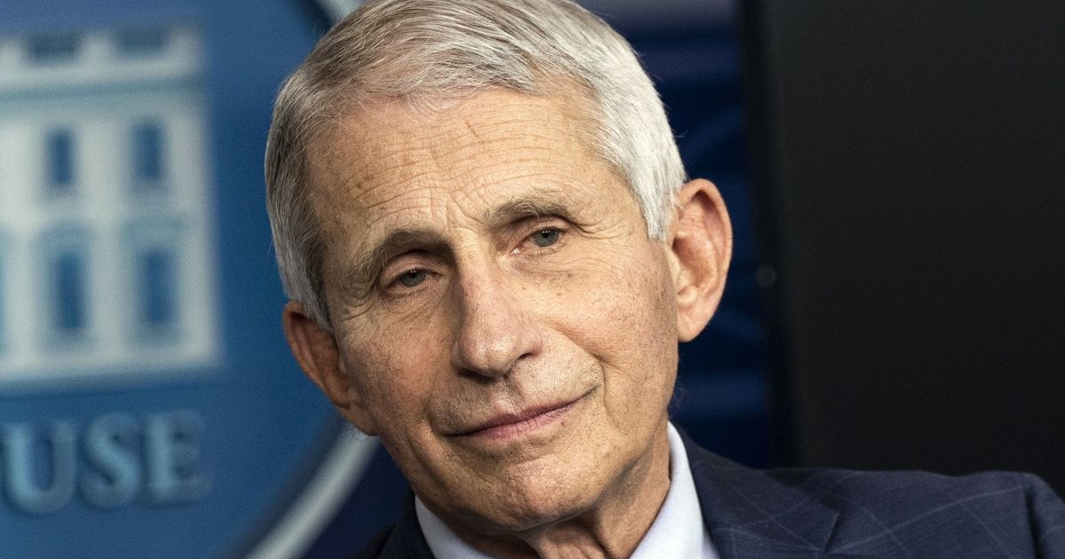 Fauci says domestic travel vaccination rule should be considered | The ...