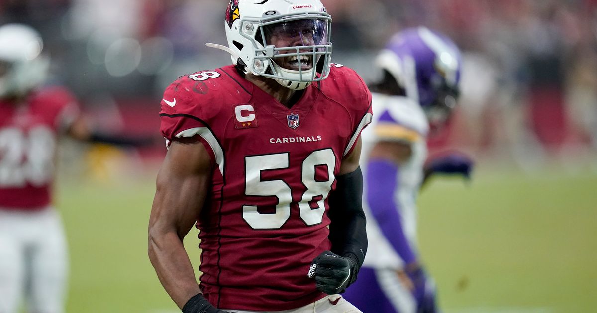 Not done yet: Hicks proves Cardinals wrong, leads defense | The Seattle ...