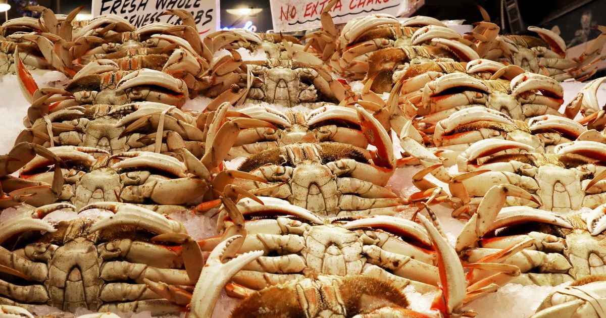 Off Washington state’s coast, crabbers get early start to season, haul ...