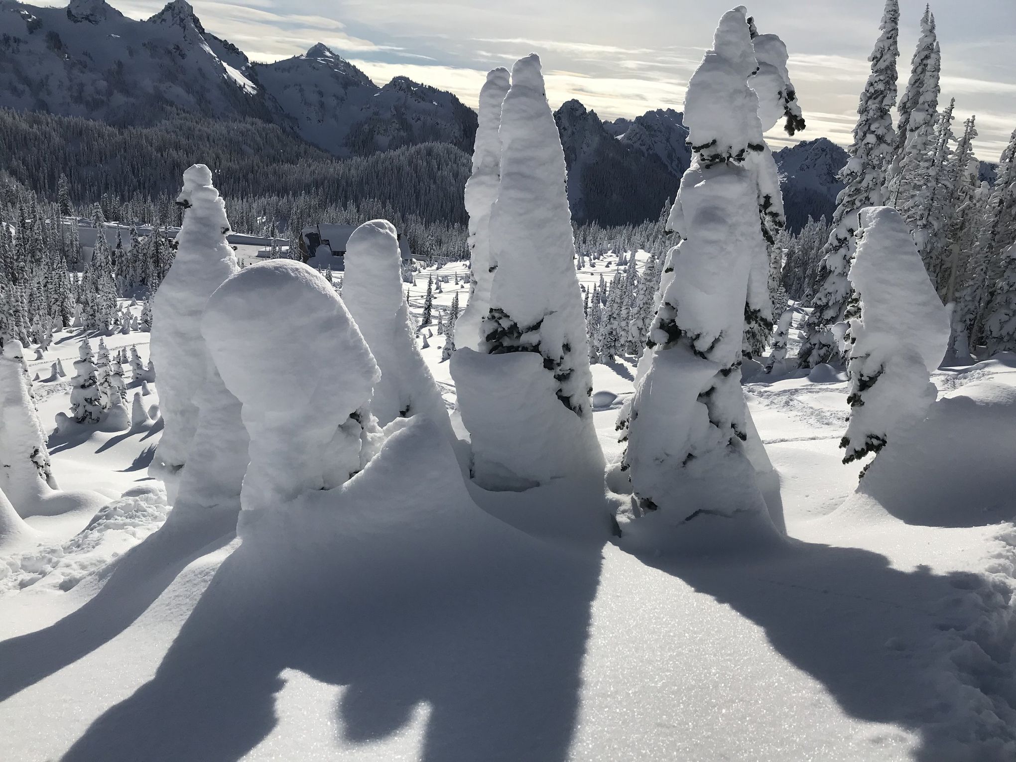 Heavy snow to continue in Cascade mountain passes | The Seattle Times