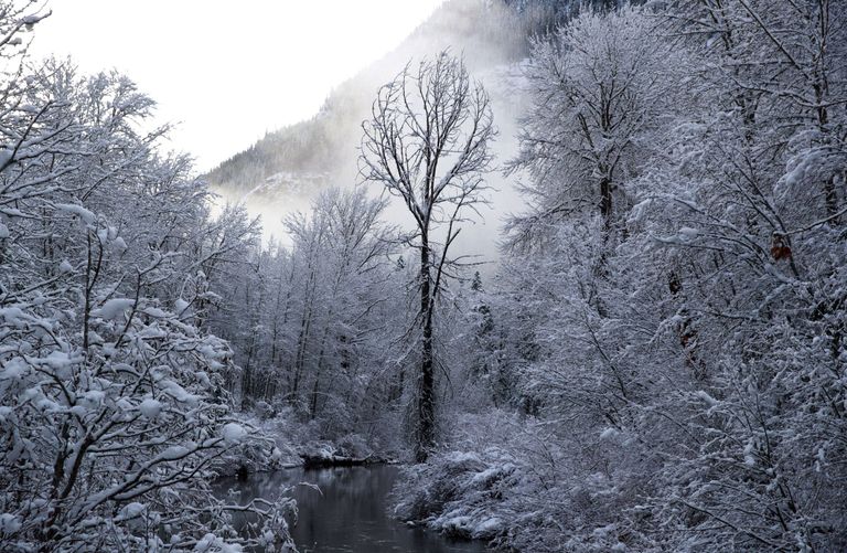 Why does snow glow blue? How could a fly possibly survive high ...