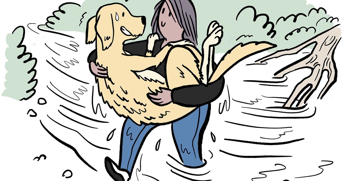 Rant & Rave: Seattle-area residents start the new year with kindness ...