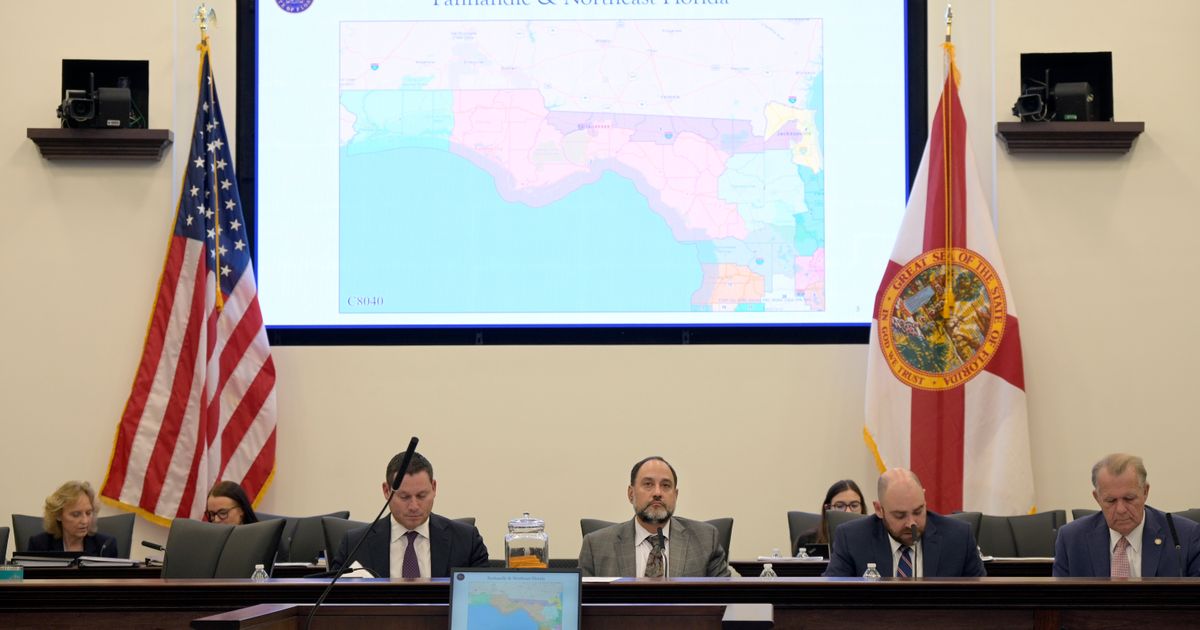 Democrats make surprising inroads in redistricting fight | The Seattle ...