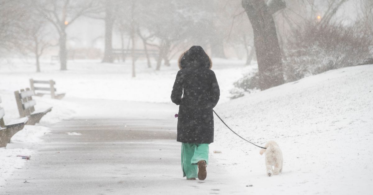 Snowfall in Midwest as winter finally hits region | The Seattle Times