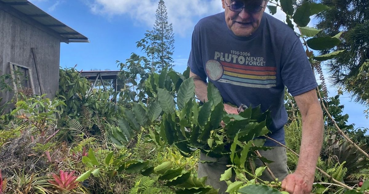 Safeway, QFC owners settle with Hawaii farmers in fake Kona coffee ...