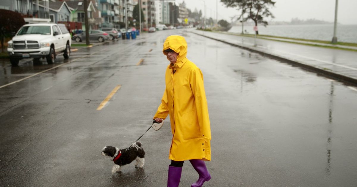 Seattle area in for a showery start to meteorological spring | The ...