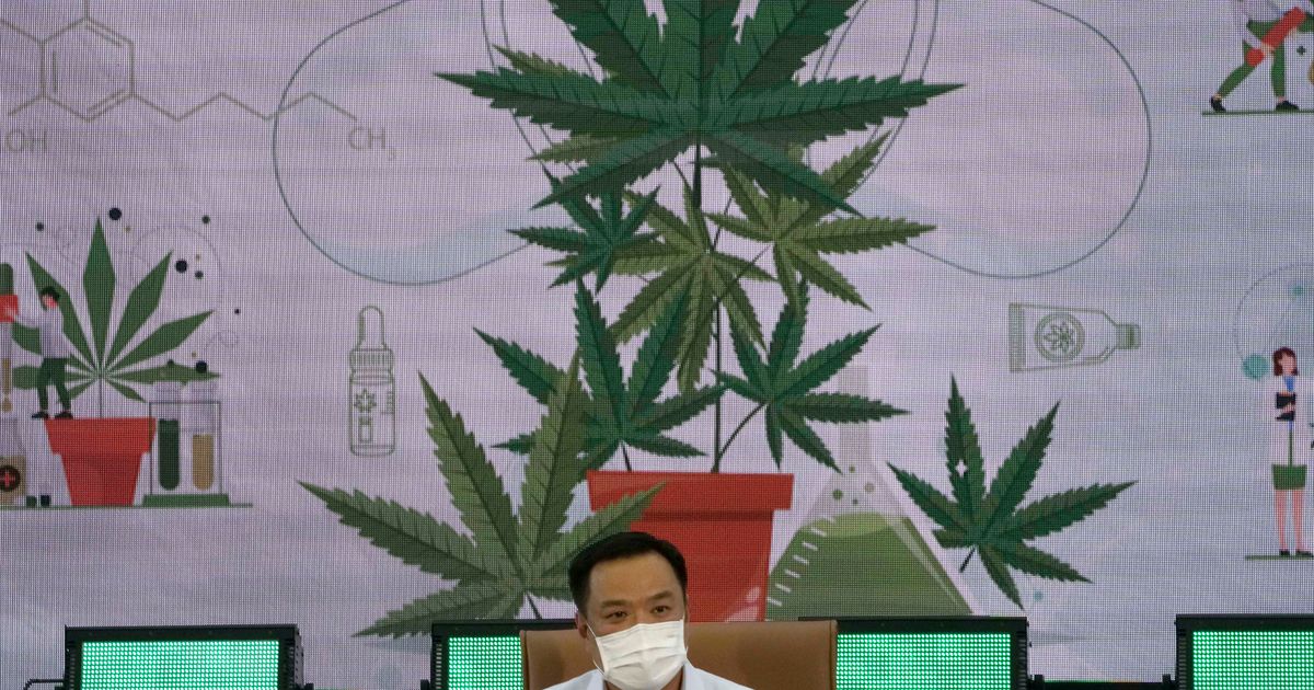 Thailand one step closer to decriminalizing marijuana | The Seattle Times