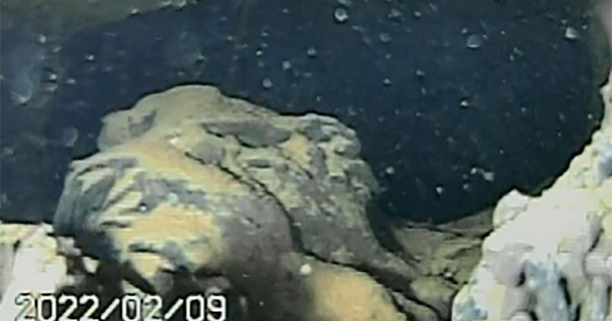 Robot photos appear to show melted fuel at Fukushima reactor | The ...