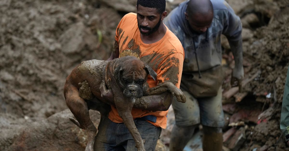 Climate change brings extreme, early impact to South America | The ...
