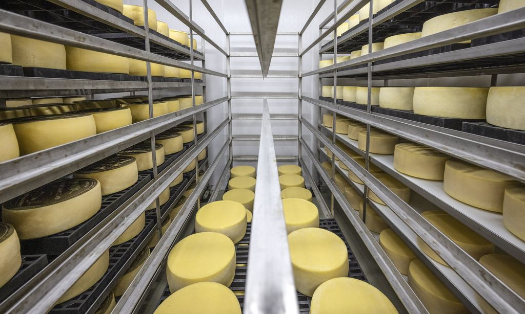 Cheese is a risky business, yet WA’s cheese-making scene is on the rise ...
