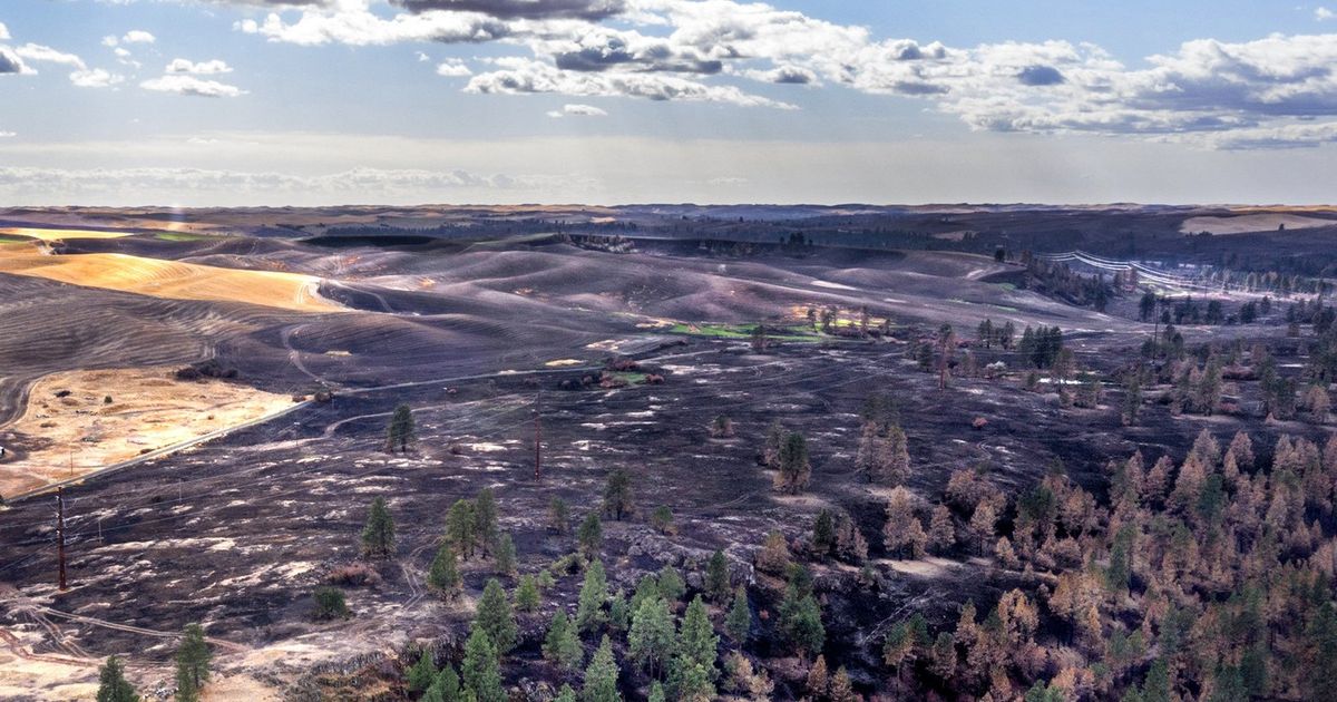 Projects in WA will get more than $200M in federal funding; here are ...