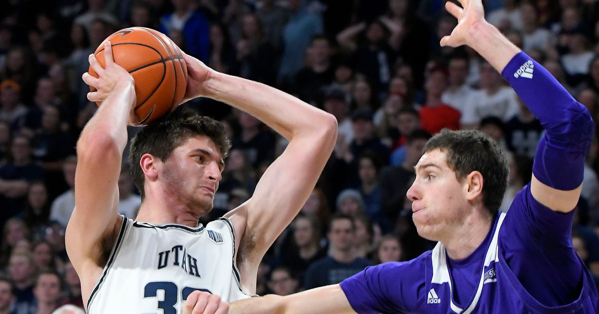 Ukrainian basketball players anxiously watching homeland | The Seattle ...